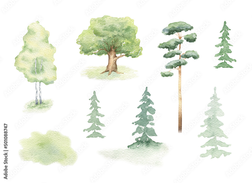 Watercolor forest trees Illustration for decoration design. Hand ...