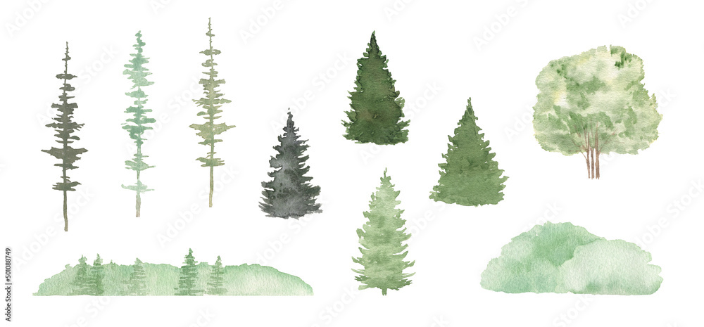 Watercolor woodland trees Illustration for decoration design. Hand ...
