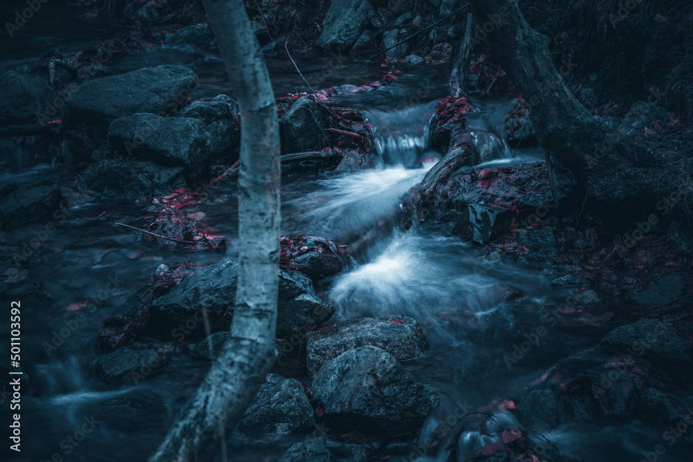 Fantasy Forest Magic River Stock Photo | Adobe Stock
