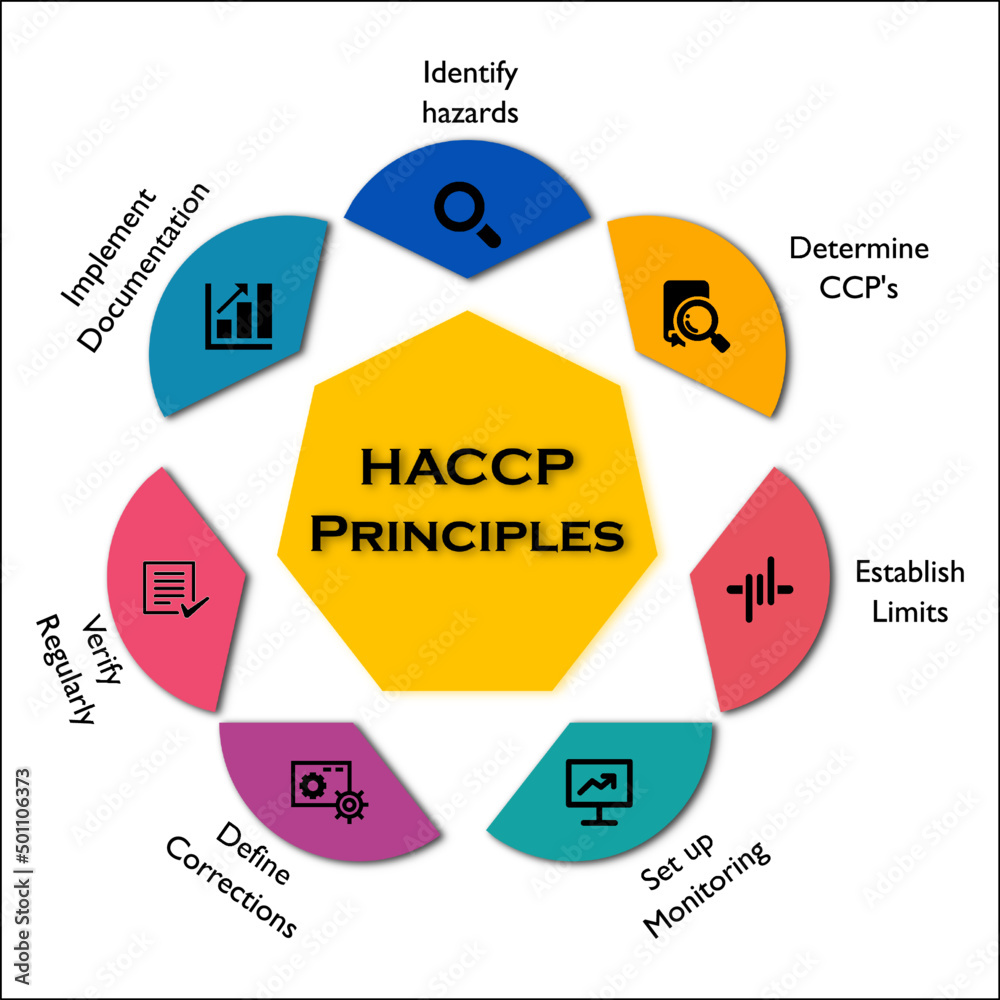 HACCP Principles with Icons in an Infographic template Stock Vector | Adobe Stock