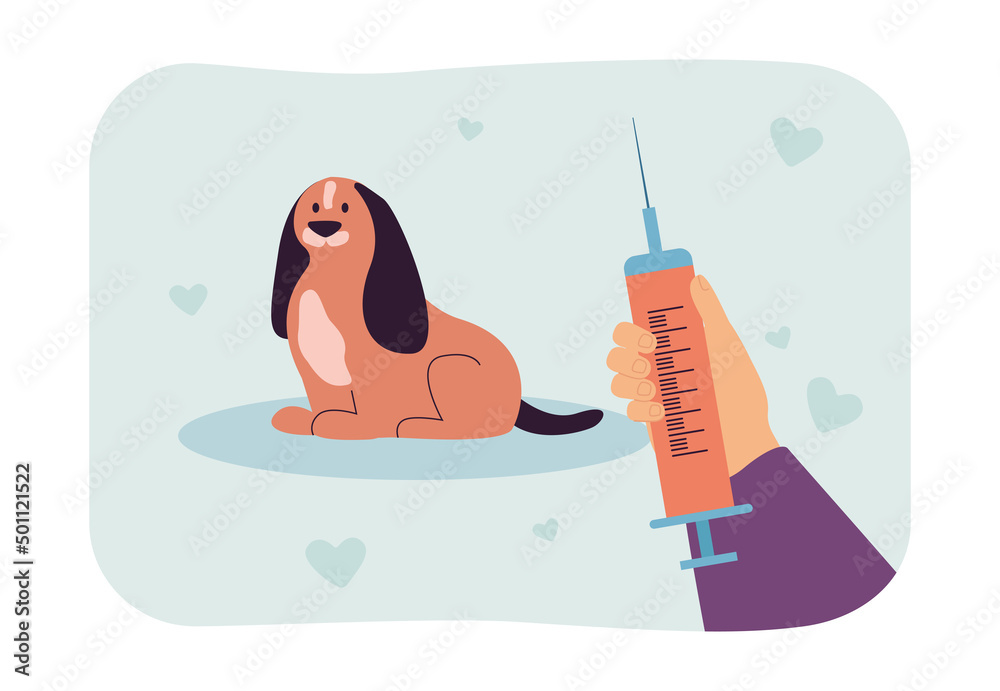 Veterinarians hand holding syringe for injection to little dog ...