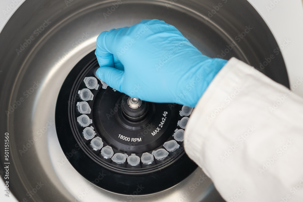 Foto de Scientist puts microcentrifuge tubes into centrifuge for phase ...