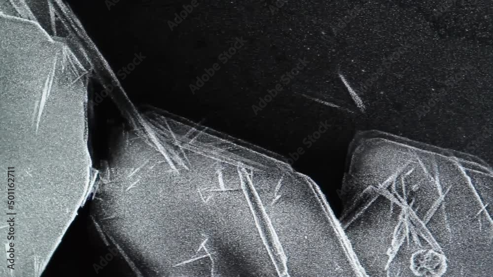 Scanning Electron Microscope (SEM) showing a Structure at Magnification ...