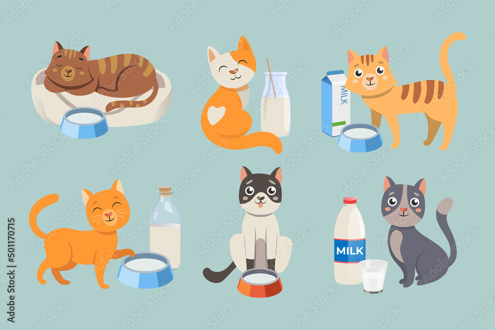 Cute cat cartoon characters with milk vector illustrations set. Comic ...