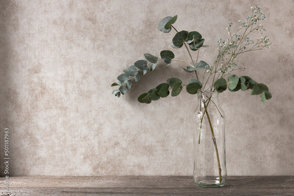 eucalyptus green branches in a vase on a wooden shelf, daylight ...