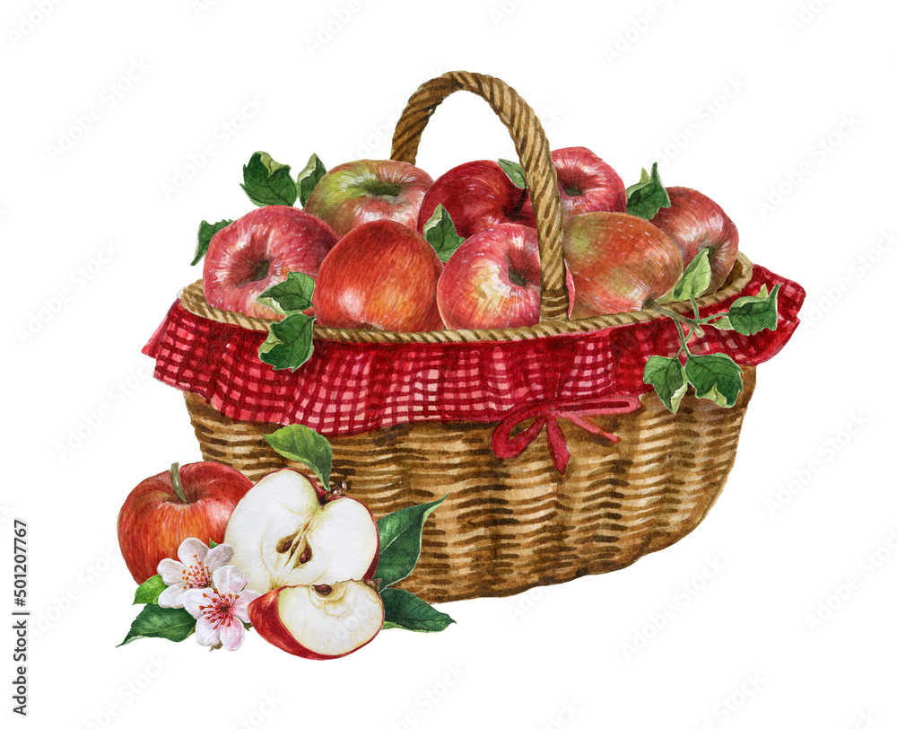 Watercolor red apple in the basket, garden harvest,Fall postcard ...
