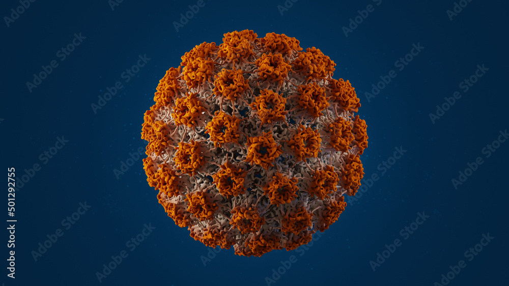 HPV human papilloma virus infection. 3d render medical illustration ...