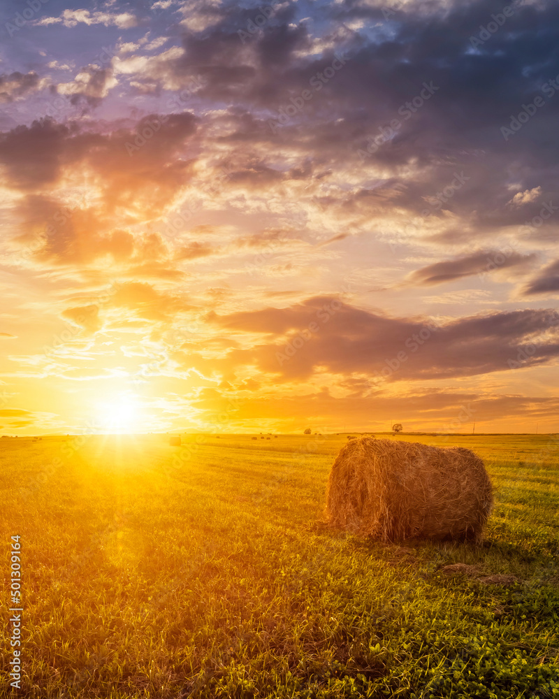 Sunset or sunrise in a field with haystacks with a cloudy sky. Stock ...
