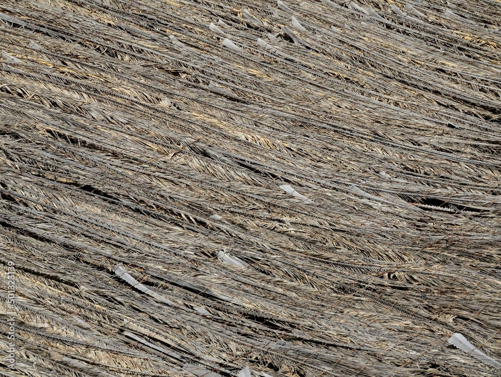 Texture of the classic thatch roof Stock Photo | Adobe Stock