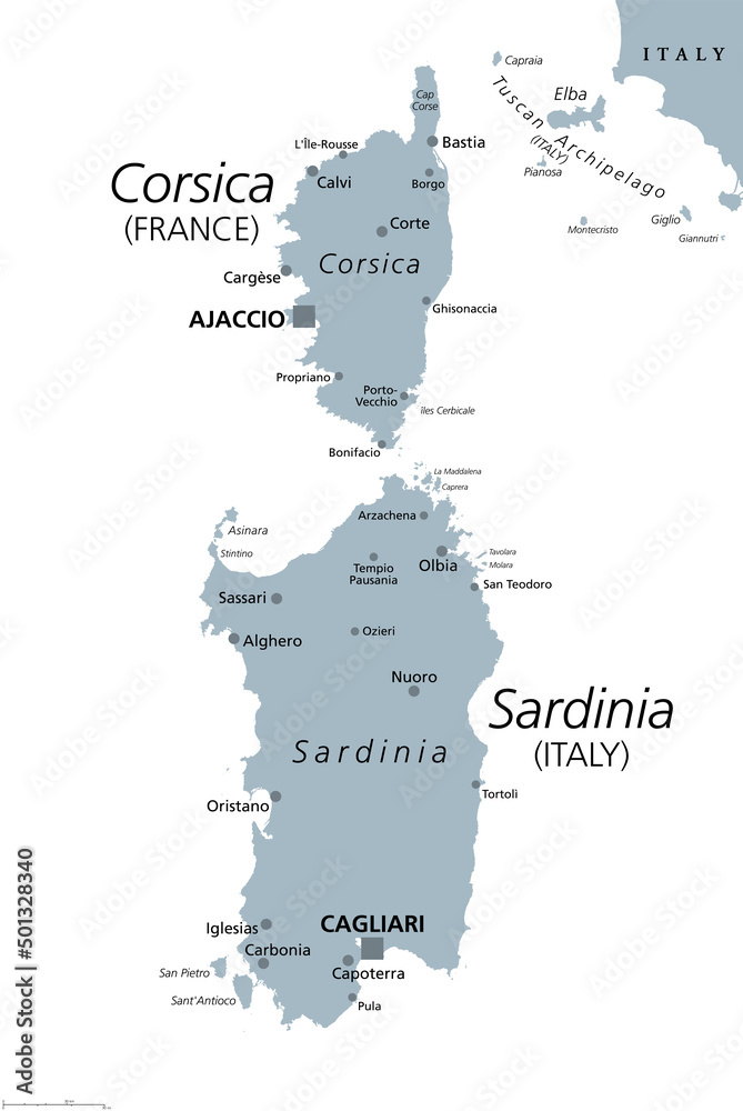 Poster Corsica and Sardinia, gray political map – Wall Art | UkPosters