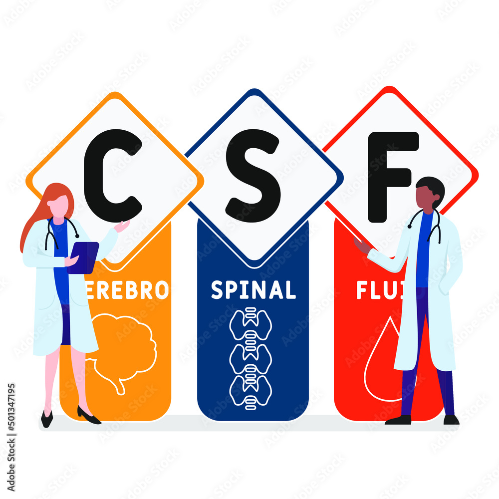 CSF - cerebrospinal fluid acronym. medical concept background. vector ...