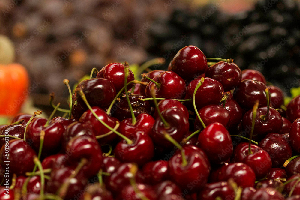 Cereja é o fruto de muitas plantas do gênero Prunus , e é uma drupa ...