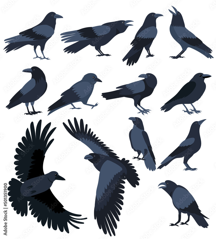 set of crows flat design , isolated on white background, vector Stock ...
