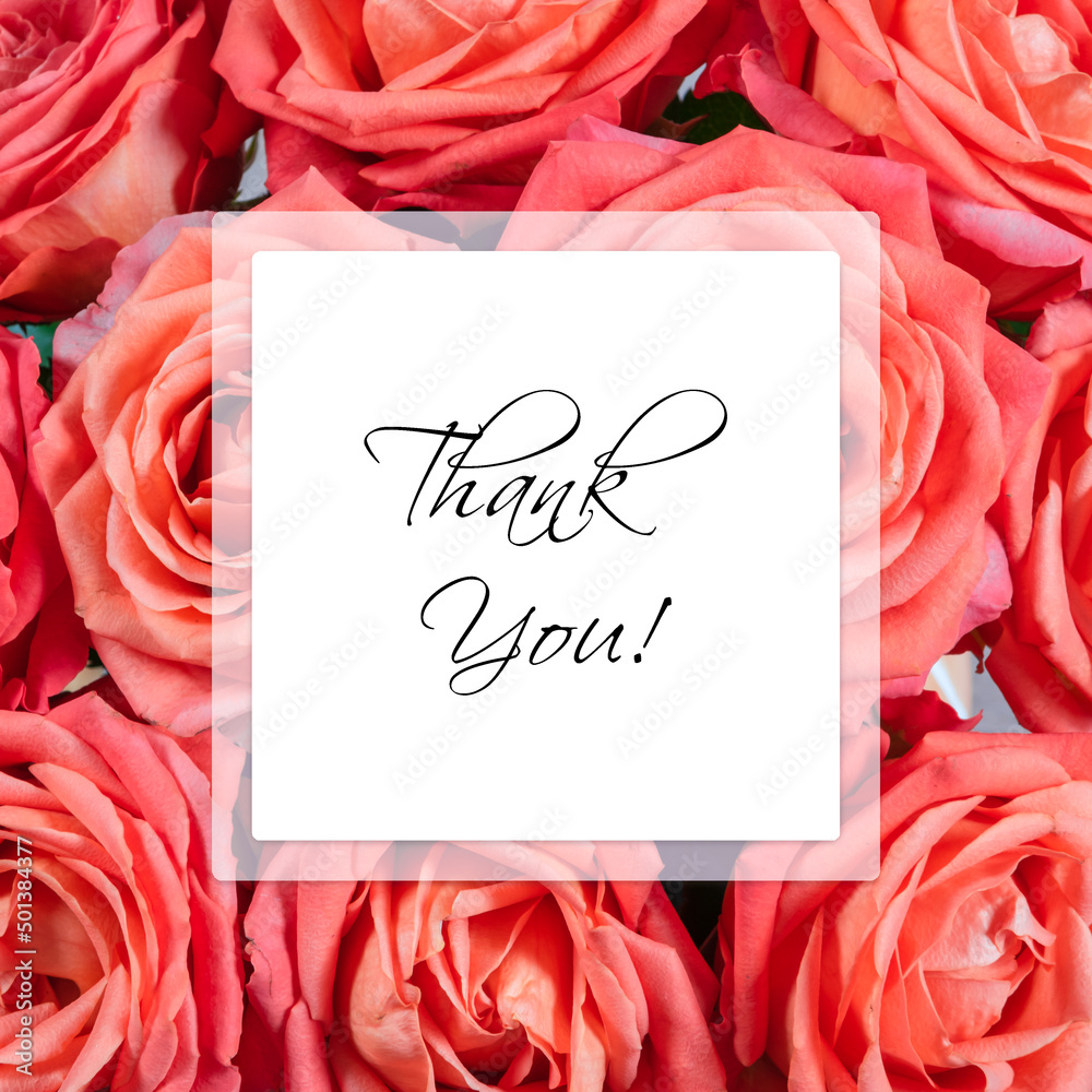 Roses background with Thank You lettering. Stock Photo | Adobe Stock