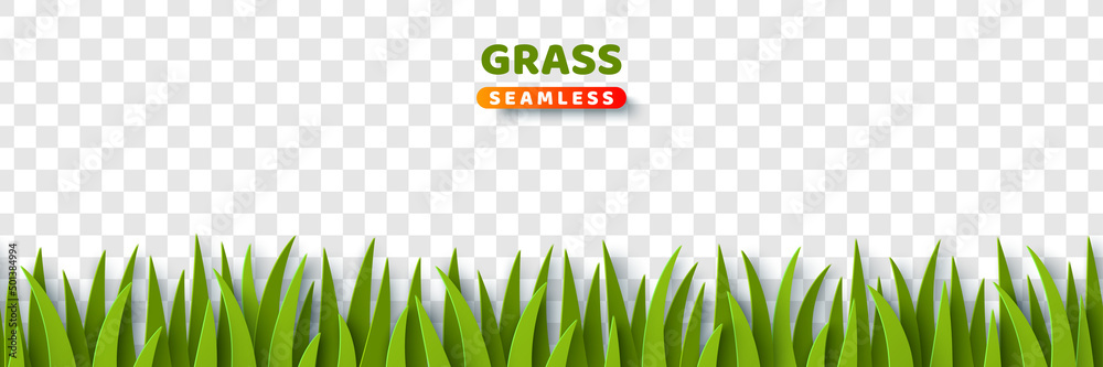 Green Grass Lawn Paper Cut Border Frame Isolated on Transparent ...
