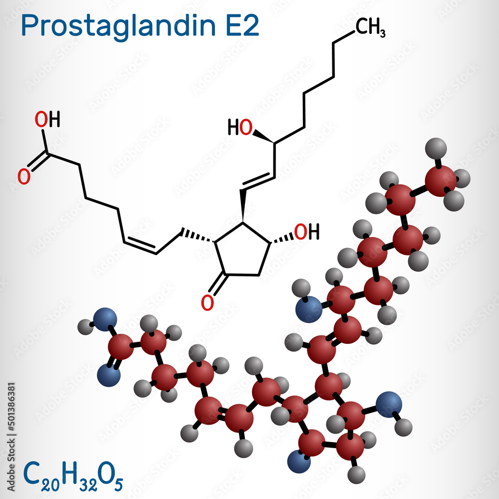 Stockvector Prostaglandin E2, PGE2, dinoprostone molecule. It is used ...