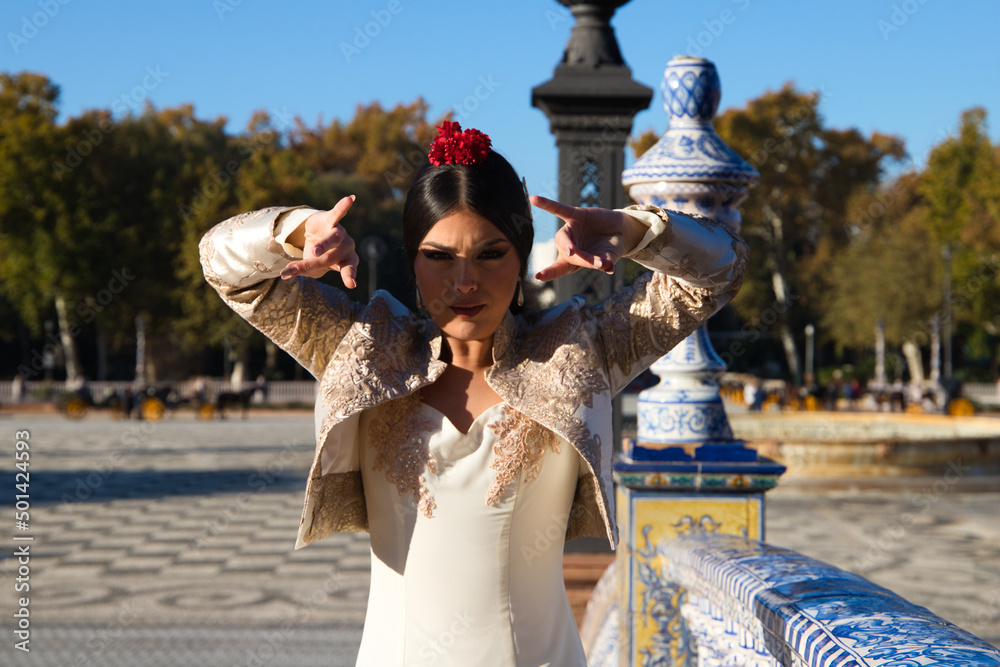 Flamenco dancer, woman, brunette and beautiful typical spanish dancer ...