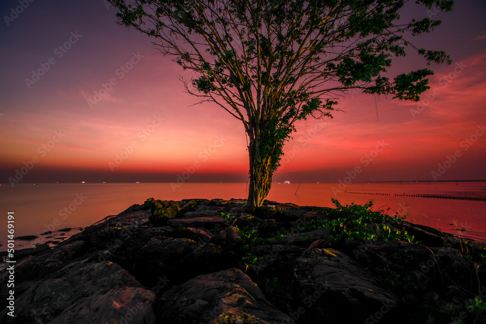 Blurred nature background view of naturally occurring trees and ...