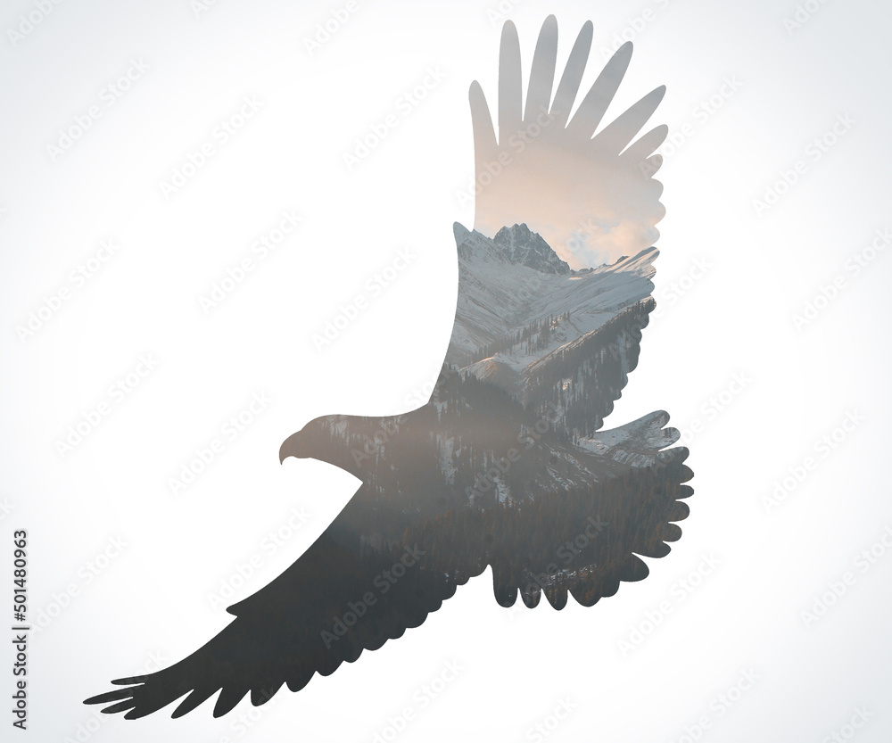 Eagle Illustration. Simple Background. Photo Backdrop. Stock ...
