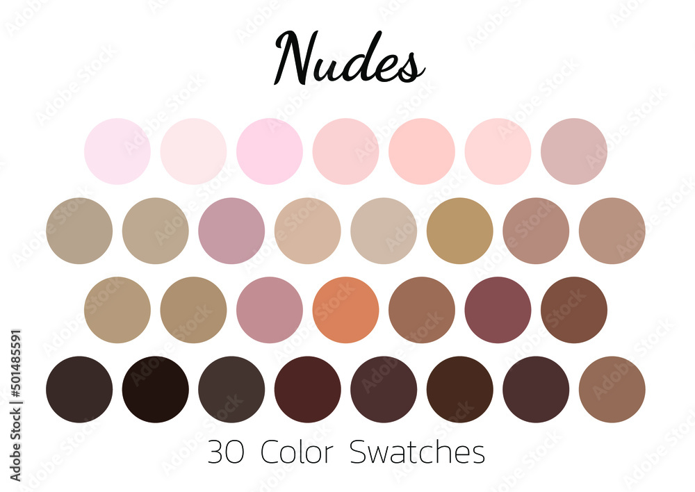 Collection Color palette, swatch color palette, Flat vector ...