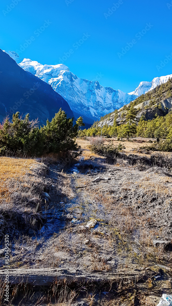 Foto de An idyllic view on Manang valley from Humde, Nepal. High ...