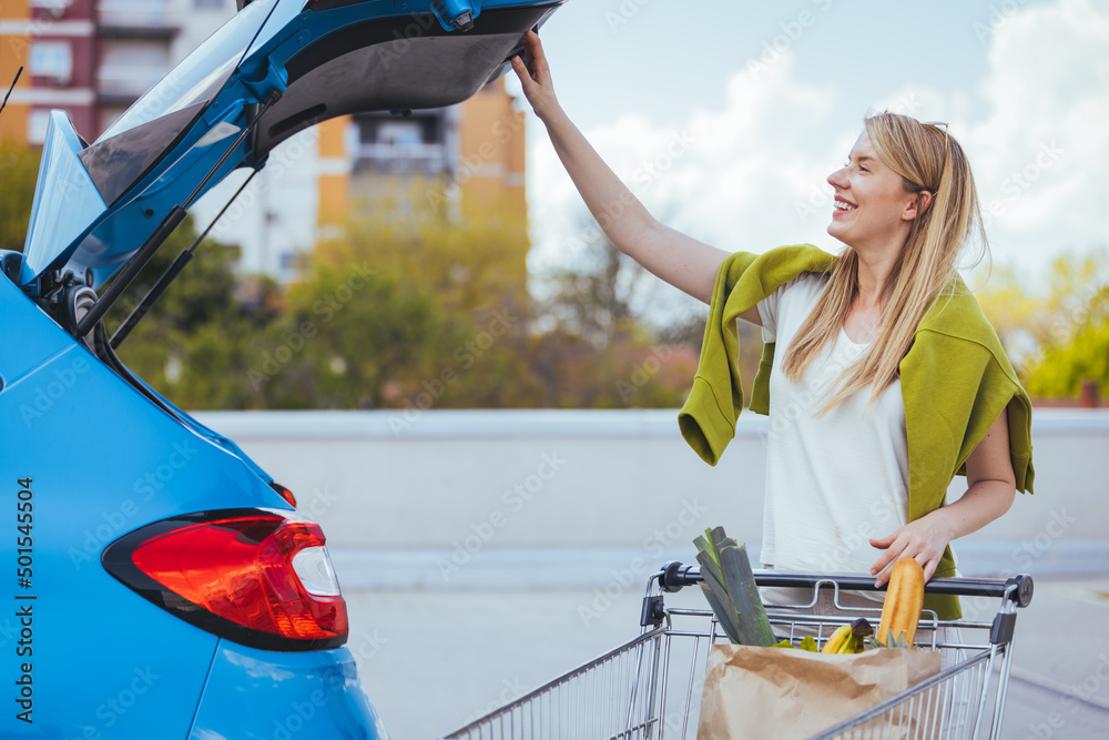 Bringing in the Shopping. Happy girl with groceries. Beautiful young ...