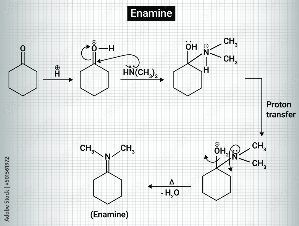 An enamine is an unsaturated compound derived by the condensation of an ...