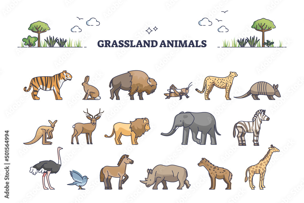 African Grassland Animals
