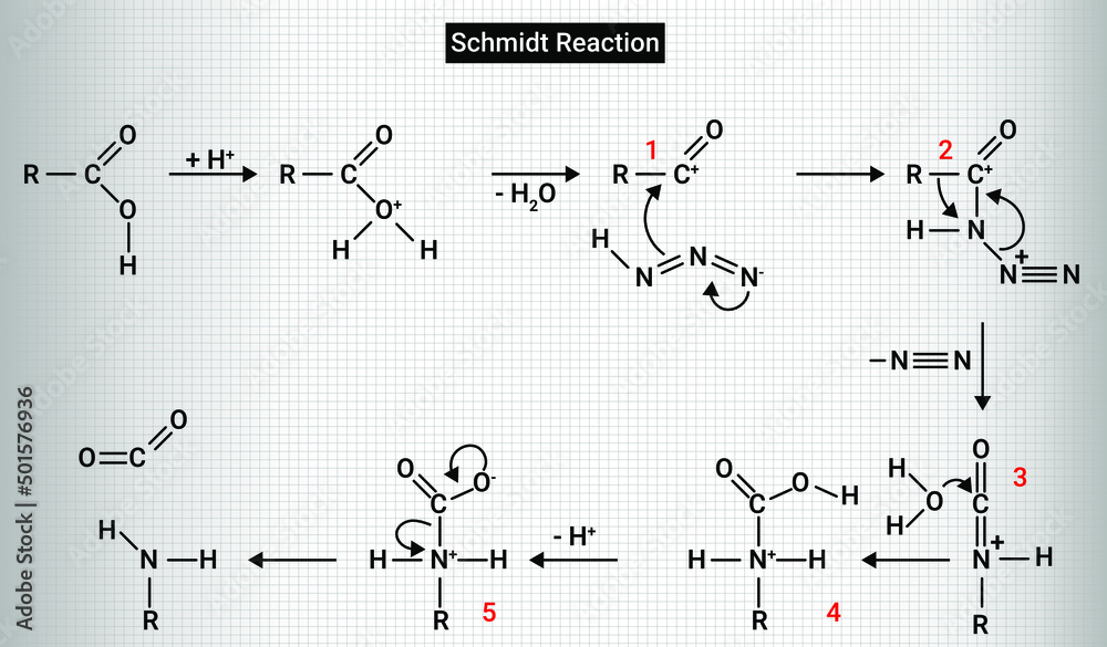 Reaction of carboxylic acids gives acyl azides, which rearrange to ...