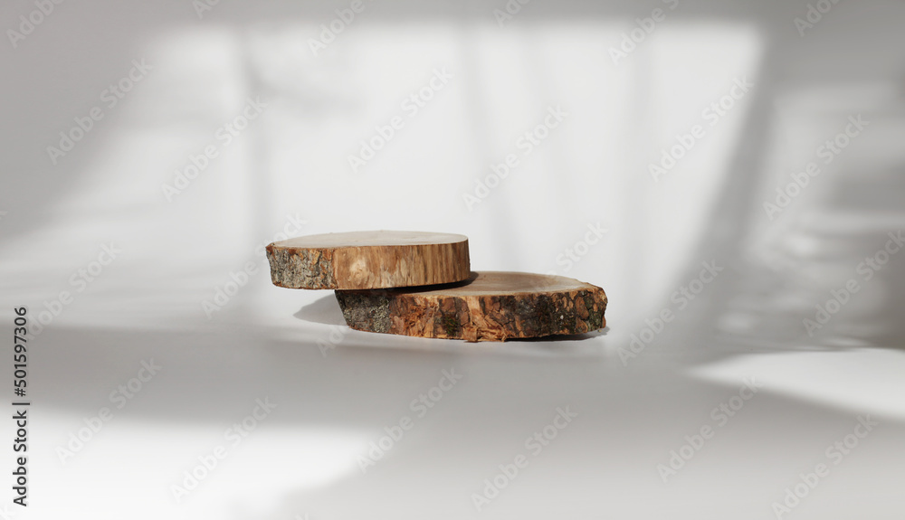 Wooden eco rustic pine tree wood circle disc platform podium on white ...