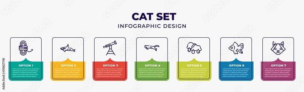 cat set infographic design template with rope, orca, telescope, puma ...