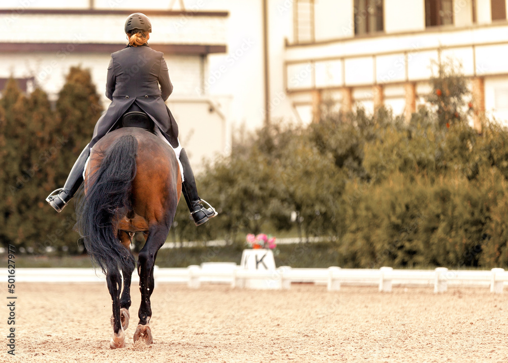 Classic Dressage horse. Equestrian sport. Dressage of horses in the ...