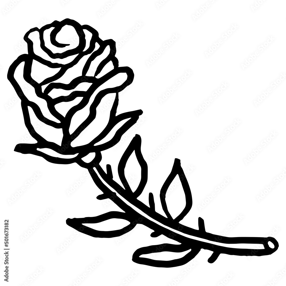 Rose Stem Outline