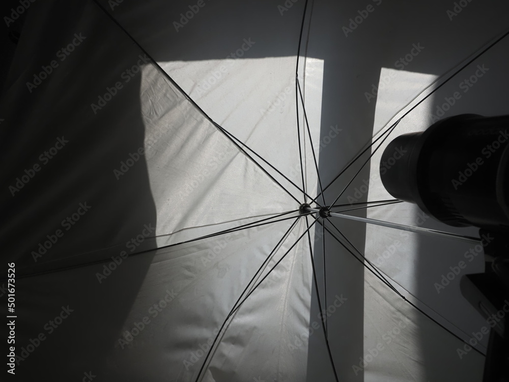 studio flash with diffuser umbrella Stock Photo | Adobe Stock