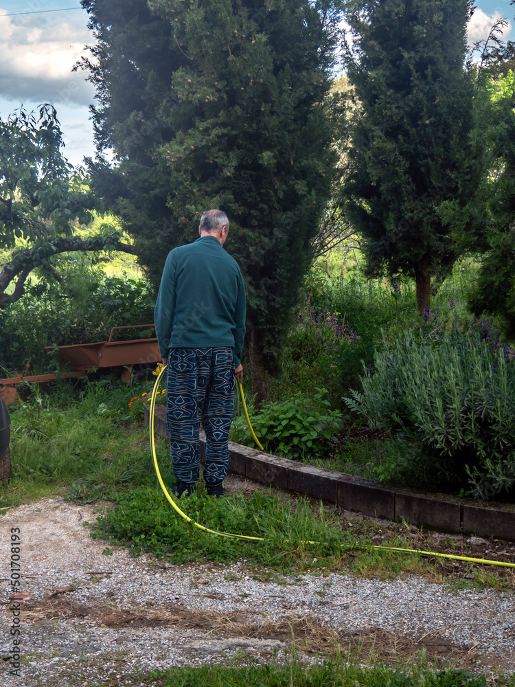 Hombre con manguera de agua regando las plantas / Man with water hose ...