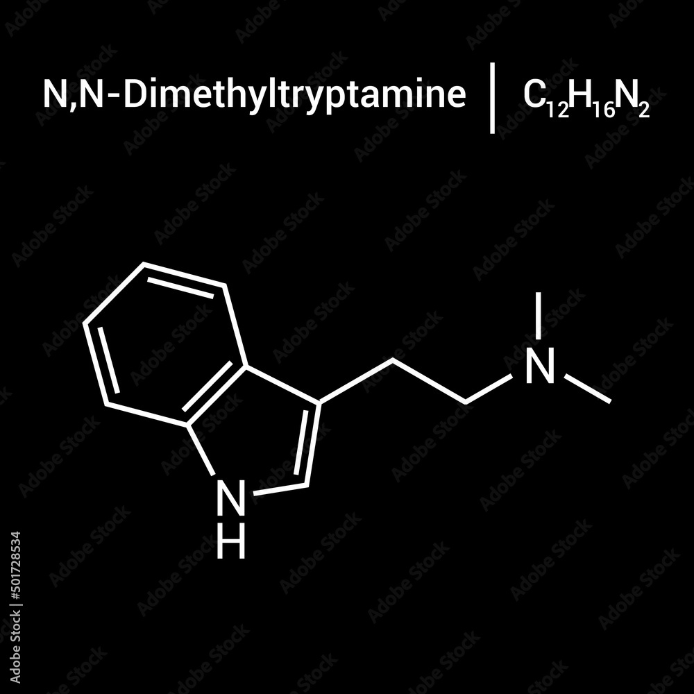 Dimethyltryptamine Molecule Structure