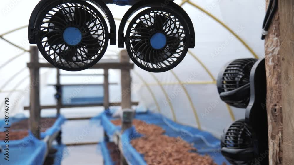 Fans in solar dryer greenhouse. A thermal control system for ...