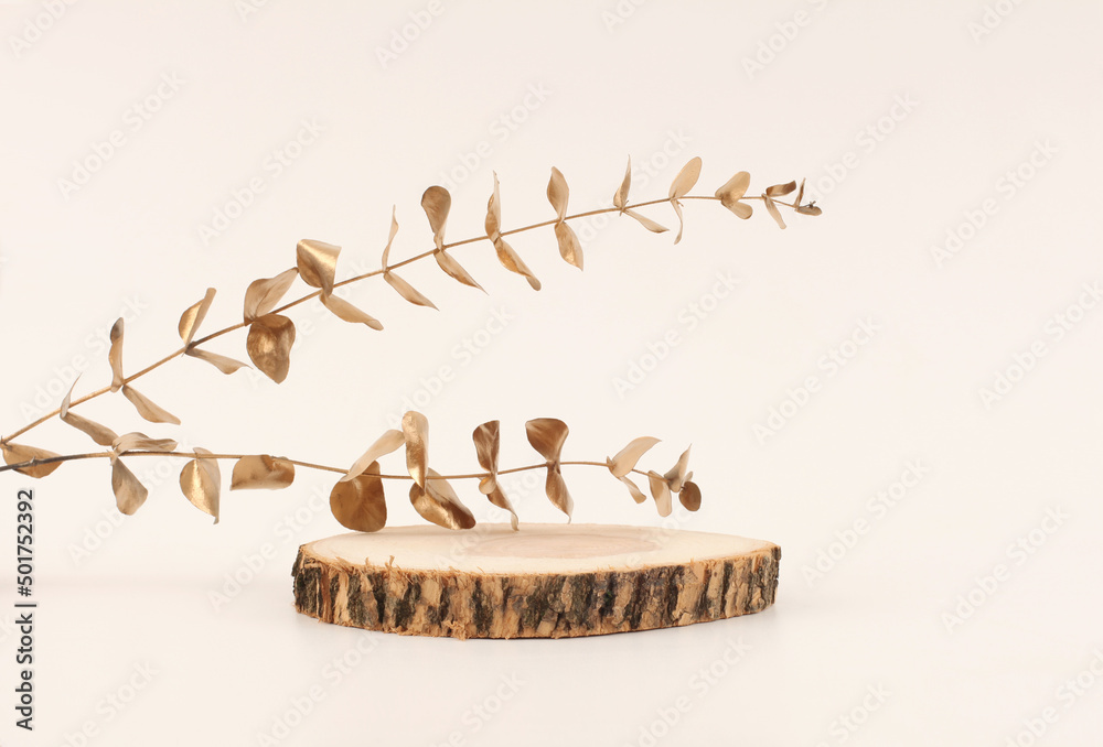 Wooden eco rustic wood circle disc platform podium and gold eucalyptus ...