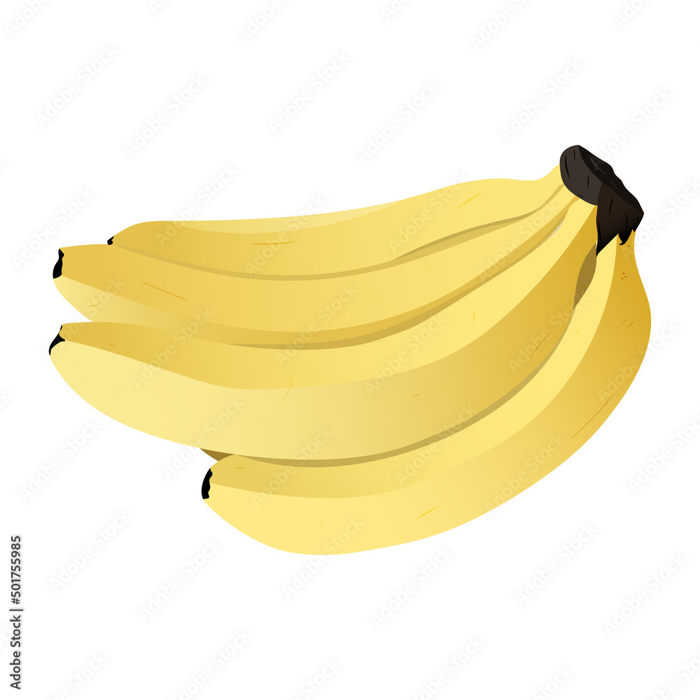 Banana Bunch Vector