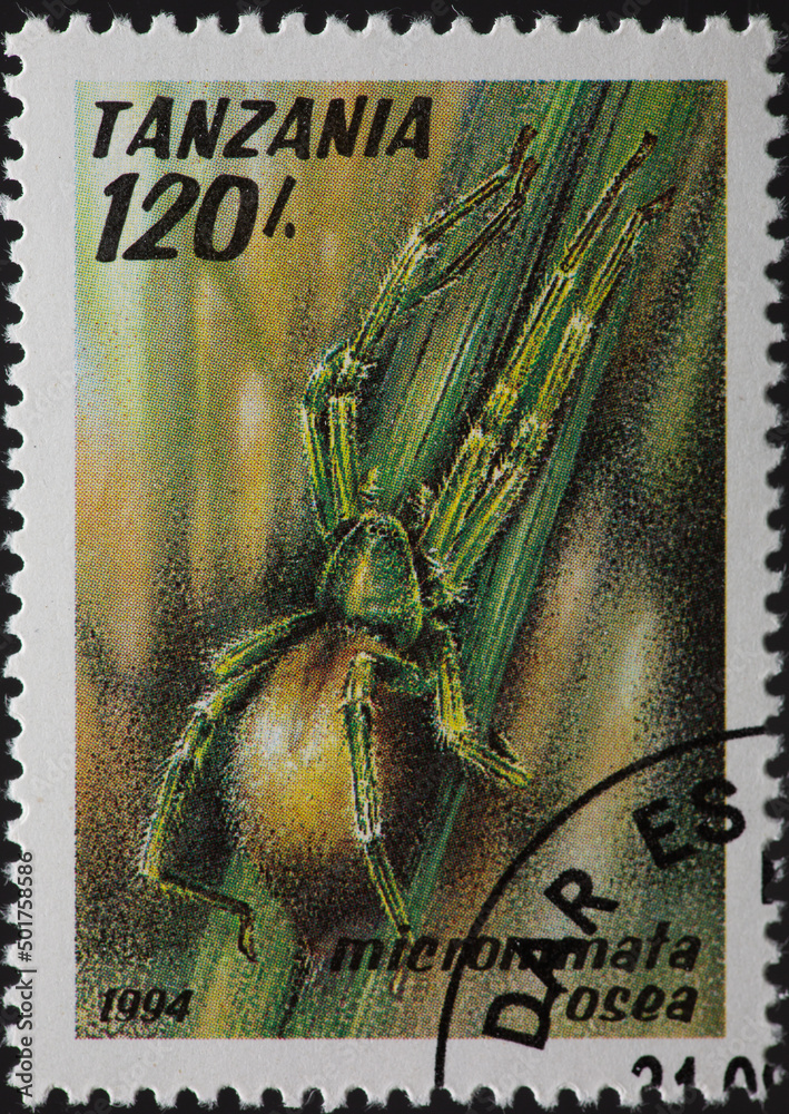 TANZANIA - CIRCA 1994: a postage stamp from TANZANIA, showing an ...
