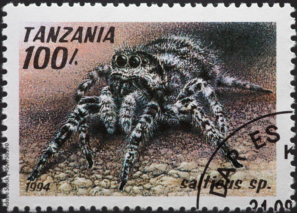 TANZANIA - CIRCA 1994: a postage stamp from TANZANIA, showing an ...