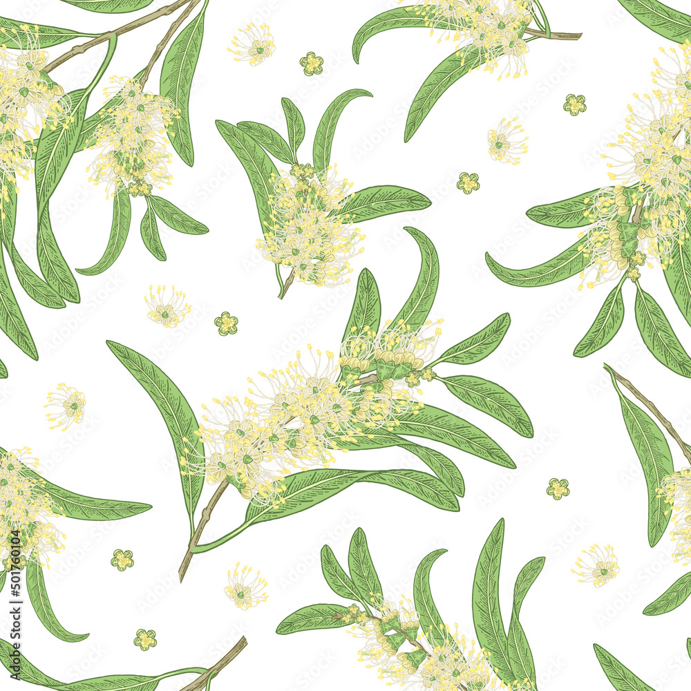 Tea tree seamless pattern. Leaves and flowers isolated on white ...