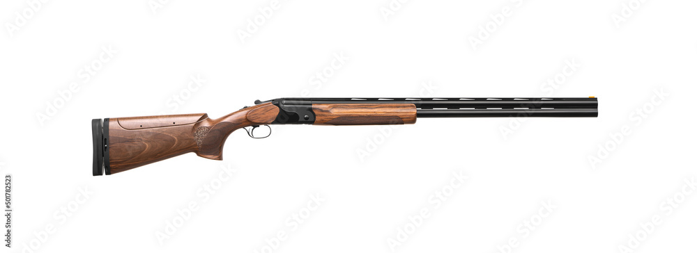 Hunting double-barrelled gun on a white background. Double Shotgun ...