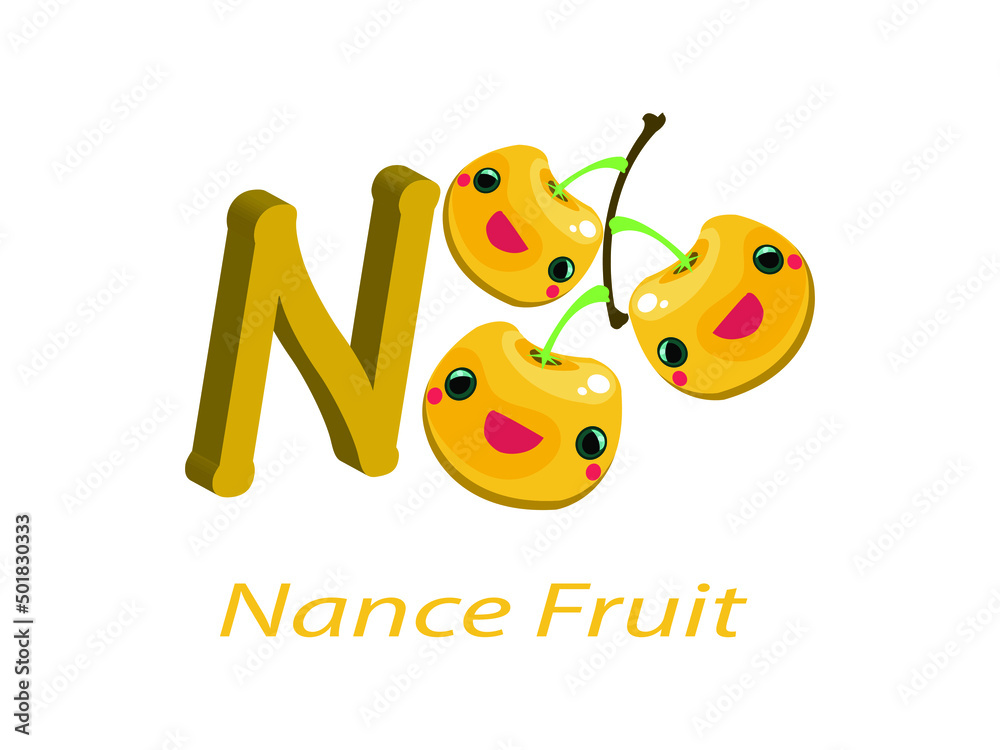 N for Nance fruit Alphabet Vector illustration. Fruit and Vegetables ...
