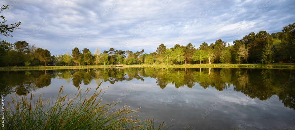 Etang de Massy au printemps (Gaillères, Sud-ouest France), grand angle ...
