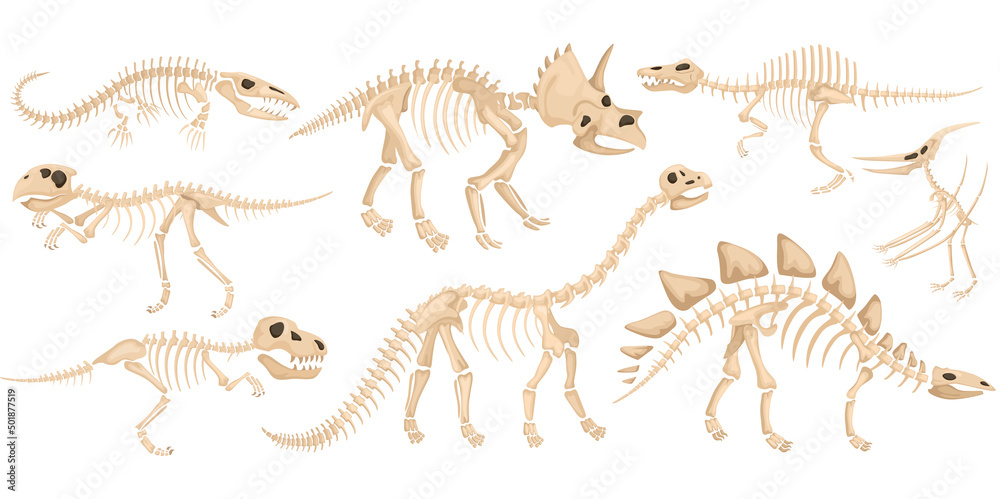 Dinosaur Skeleton Icon Set เวกเตอร์สต็อก | Adobe Stock