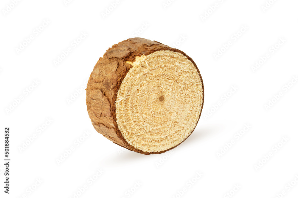 round log on white background. wood section of tree with rings and ...