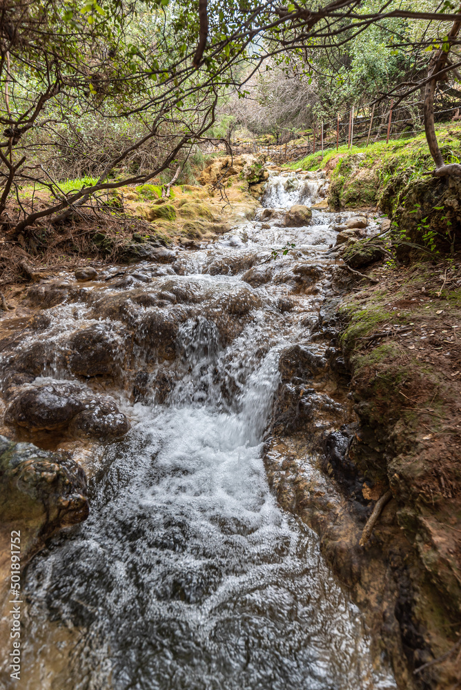 Parod or Farod Falls in northern Israel is a beautiful place to hike in ...