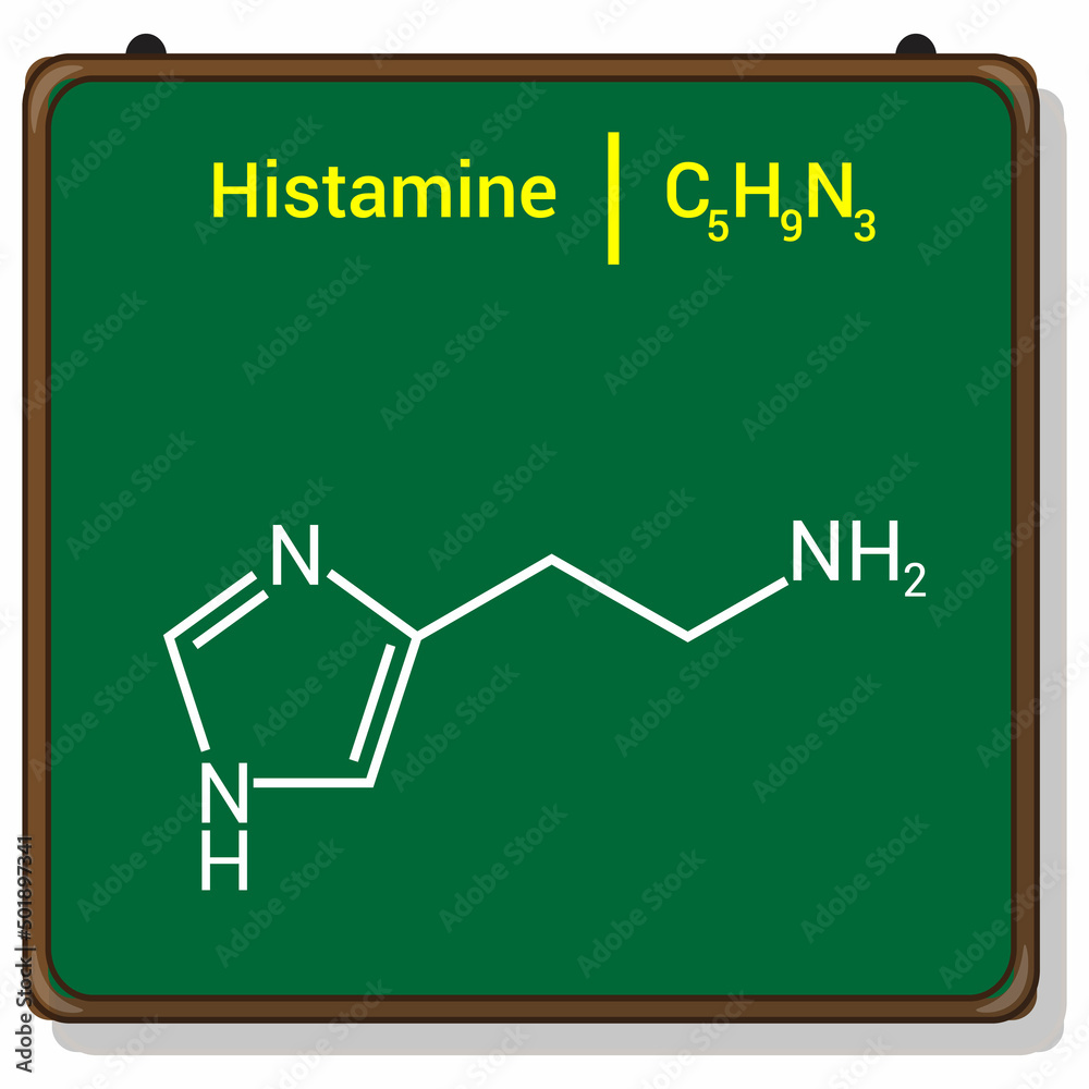 chemical structure of Histamine (C5H9N3) Stock Vector | Adobe Stock