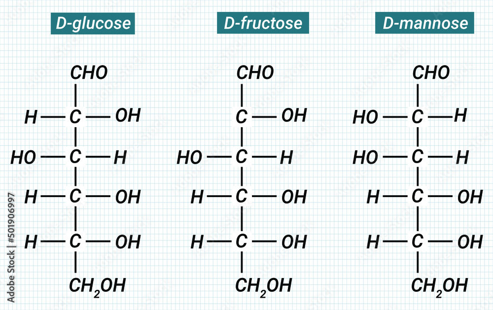 Structure of D-glucose, D-fructose and D-mannose Stock Vector | Adobe Stock